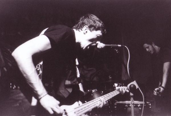 Movimiento Circular de los Arboles: Majority Rule - Discography