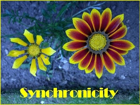 67 Not Out: 10 Coincidence Or Synchronicity Examples