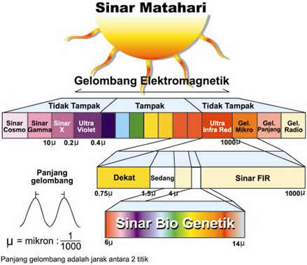 AKHSANUR BLOG'S: MACAM-MACAM RADIASI