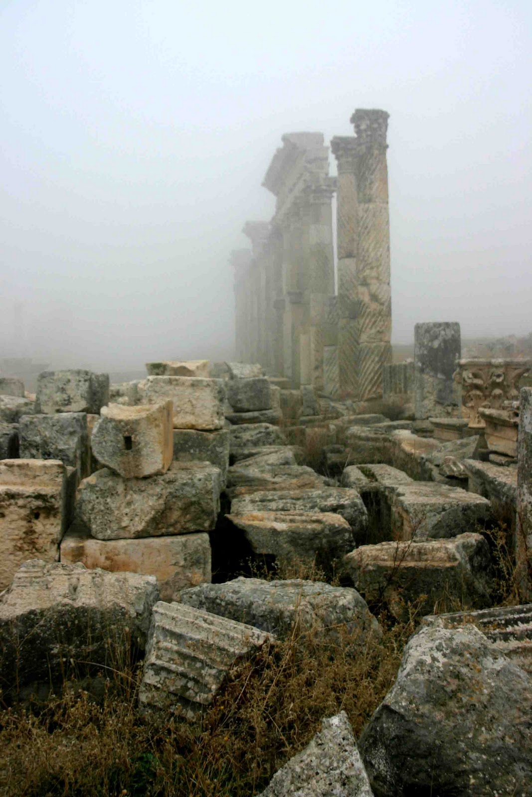 The Old Levant: December 2010