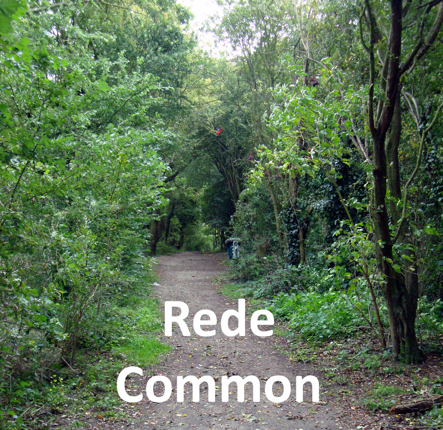 Strood Community Trail: A Bit of Background and Research