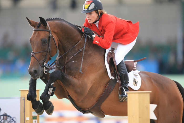 Concours de Saut d'Obstacle: Présentation