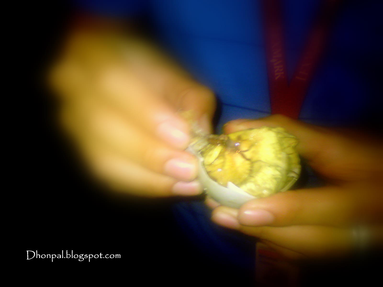 Life, Love and Lust: Balut experience