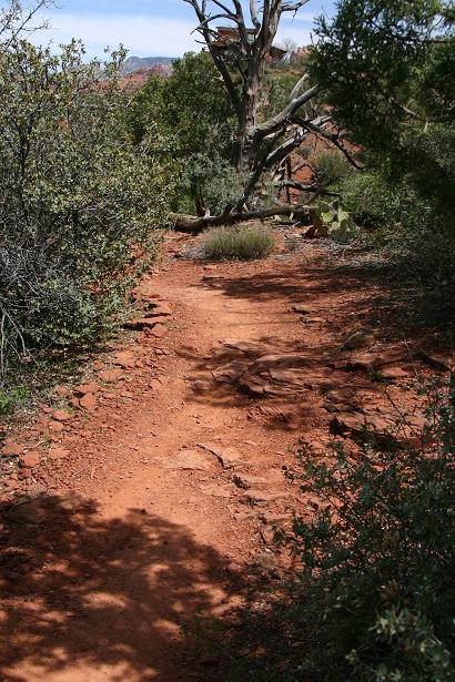 The Wanderers: The House of Apache Fire