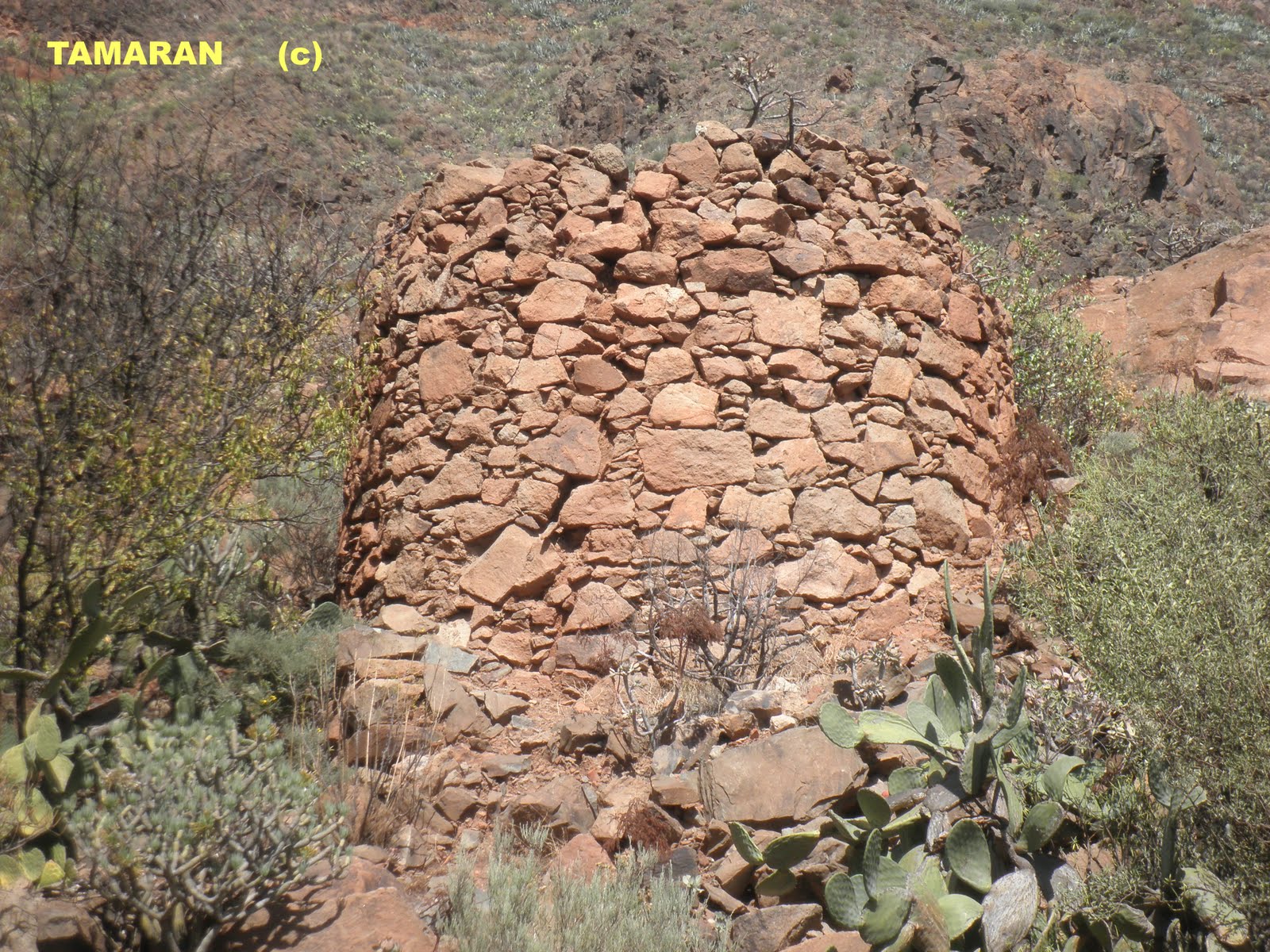 TAMARAN: TEMISAS DE TAMARAN - GRAN CANARIA