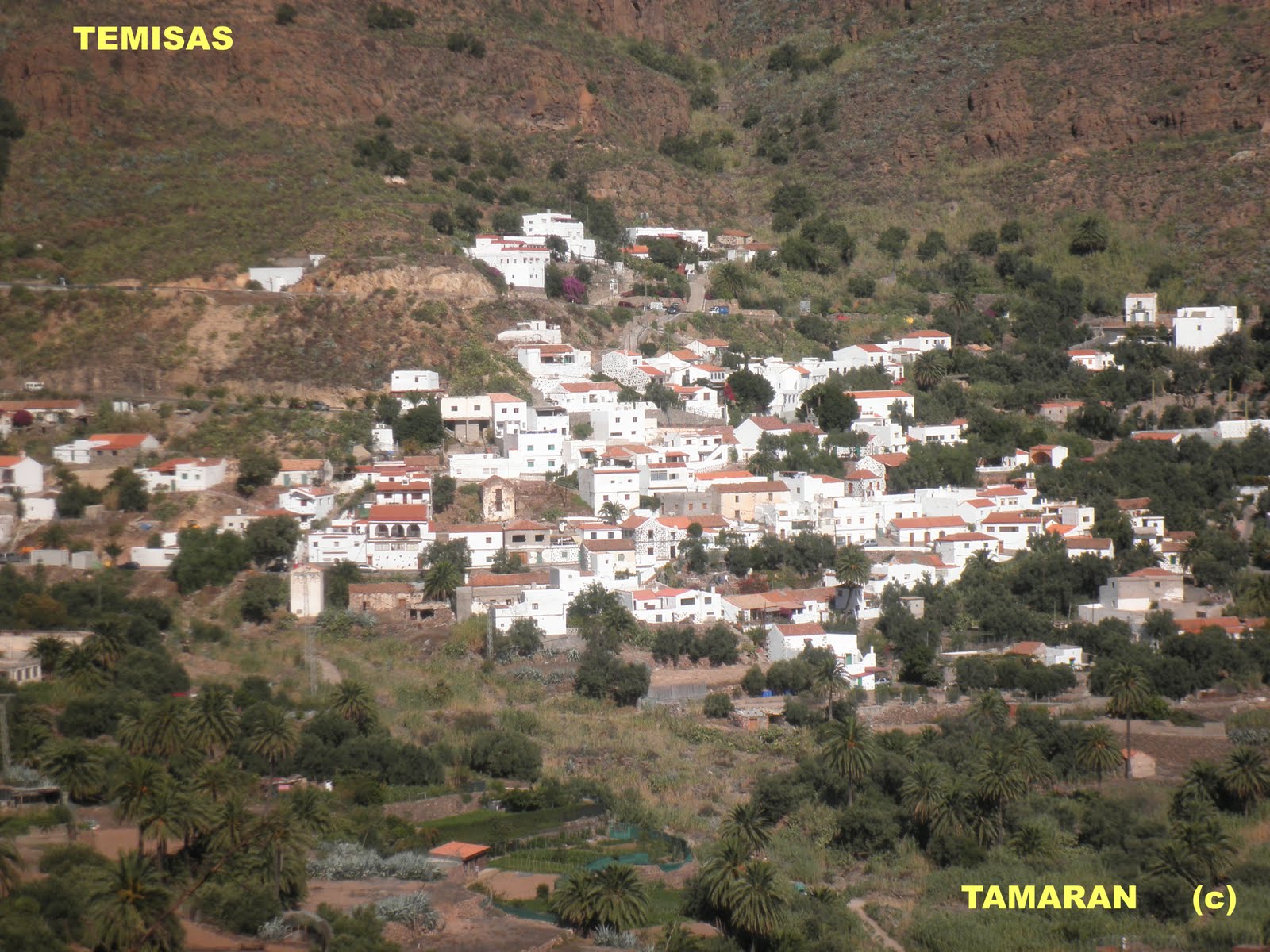 TAMARAN: TEMISAS DE TAMARAN - GRAN CANARIA