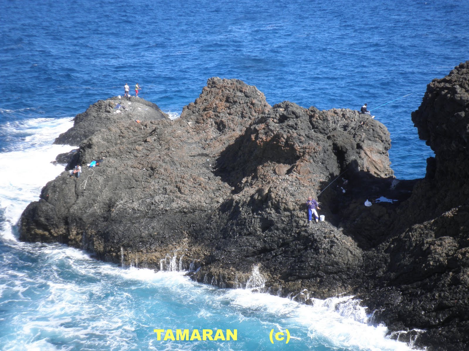TAMARAN: GRAN CANARIA AZUL- TAMARAN