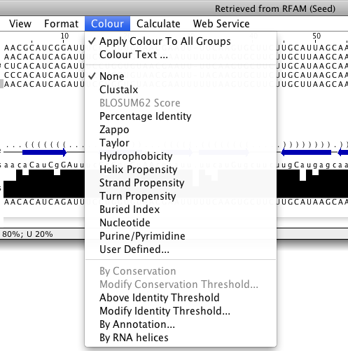 GSOC 2010 - Adding RNA Support to Jalview