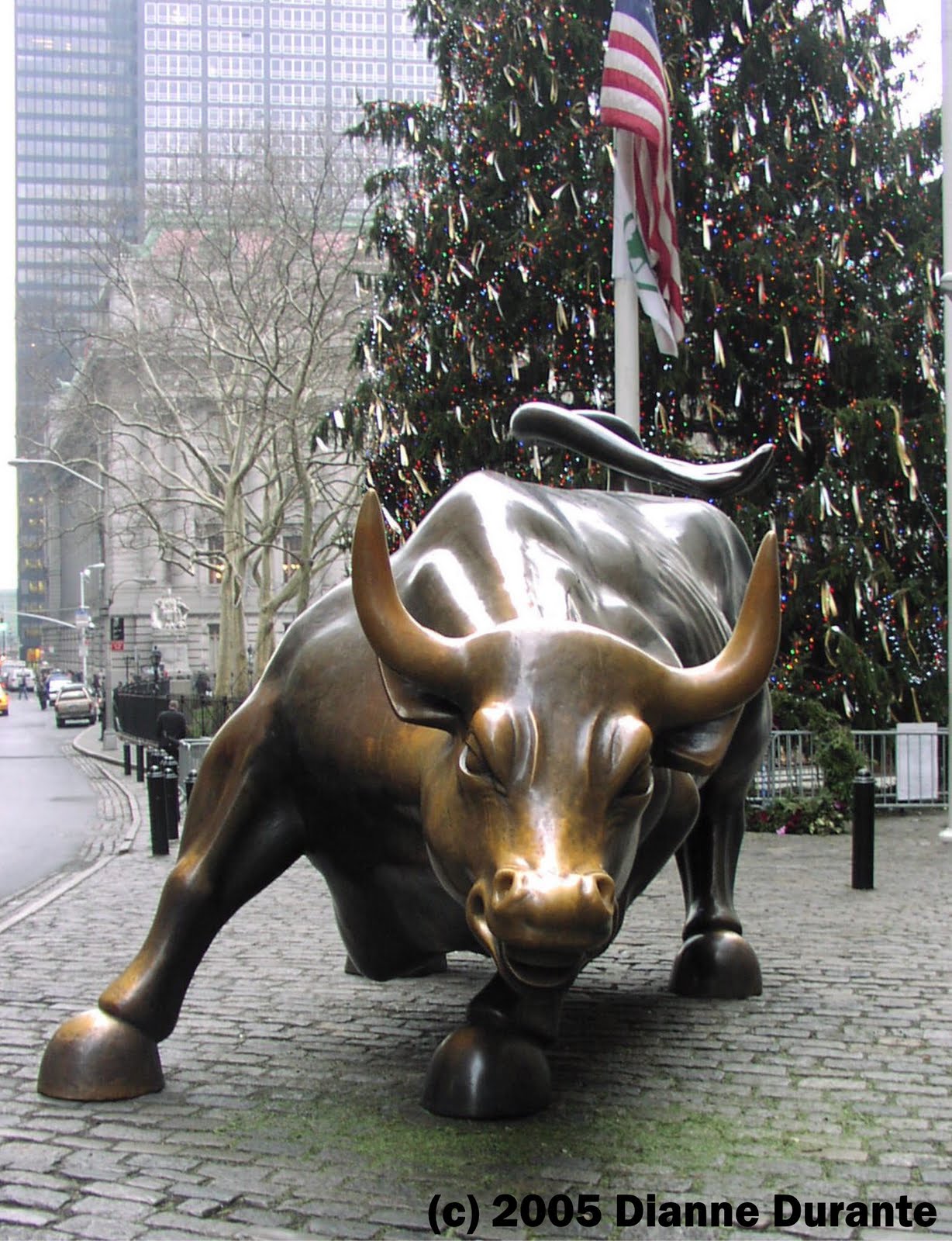 The Bull: What does it take to be a BULL