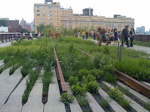 Languid*Lovely: crack garden