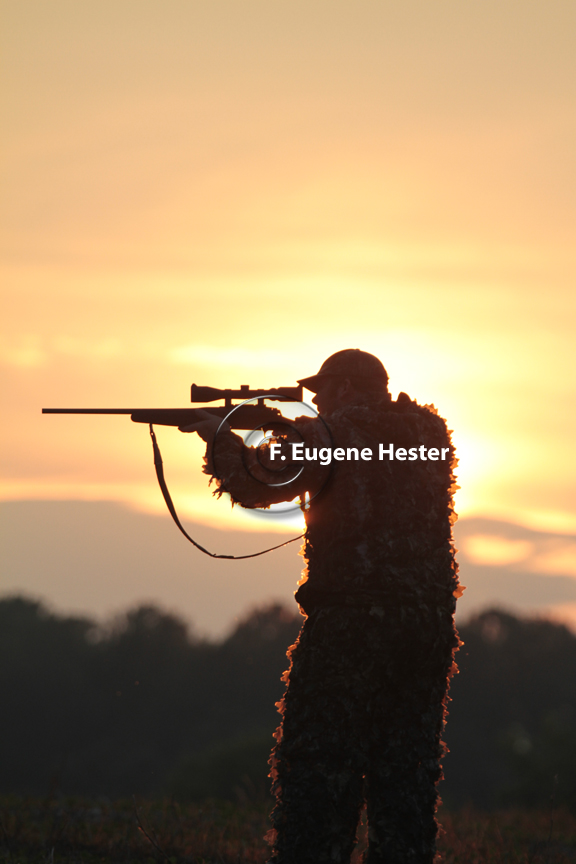 F. Eugene Hester’s Wildlife Photography: Hunting