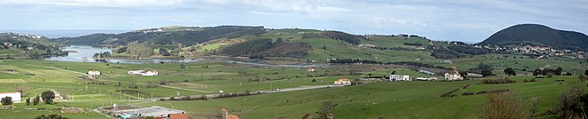 Aves de la Ría de Ajo: Marchando una de pícidos campurrianos...