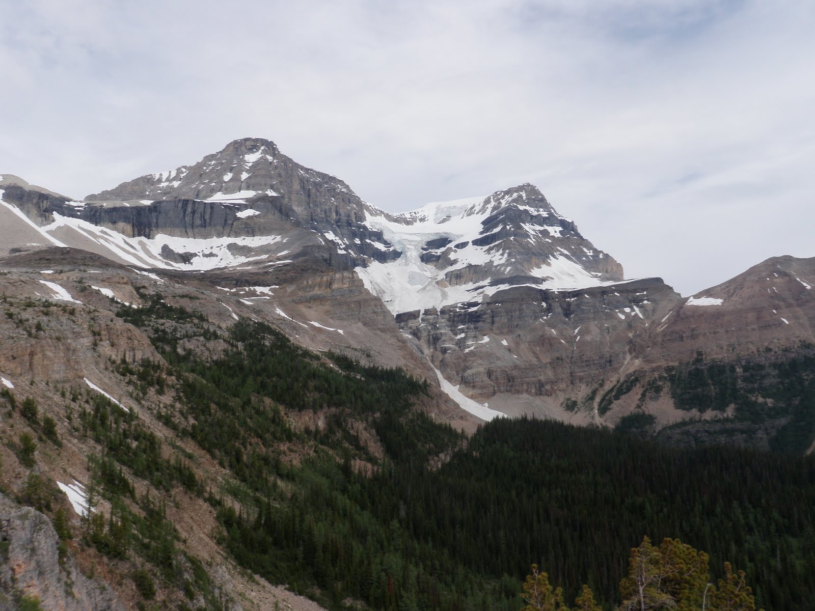 Banff Trail Trash: It's a Magical, Mystical World