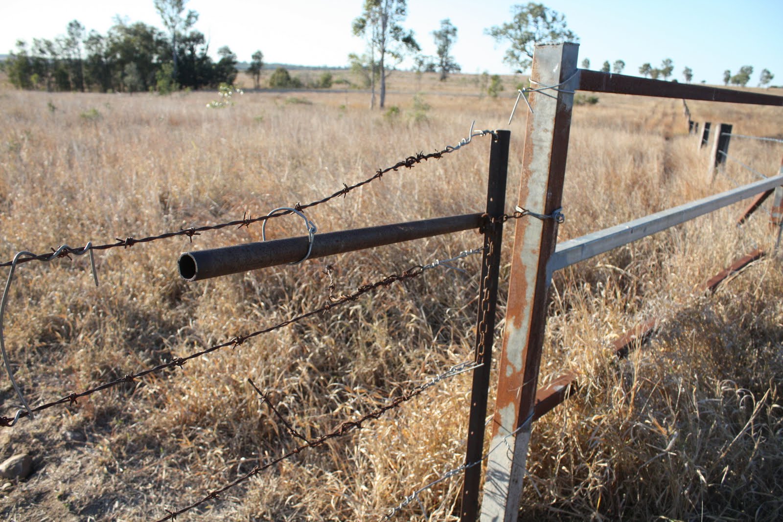 Tracey Hewitt Mixed Media Art: He Man, Woman Hater Gate!