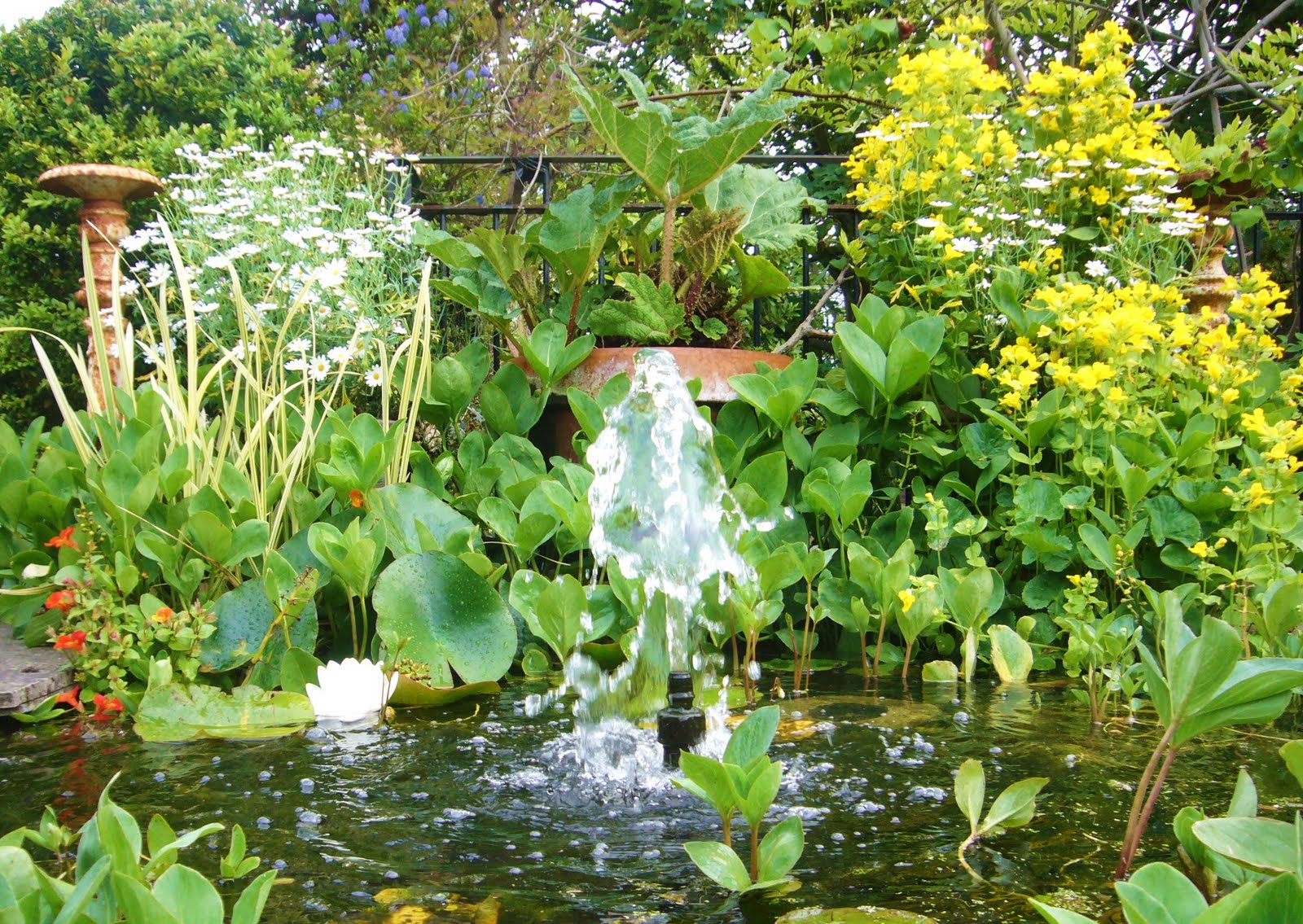 PEARL HOUSE, ROMAN WAY, ISLINGTON: Roof Garden