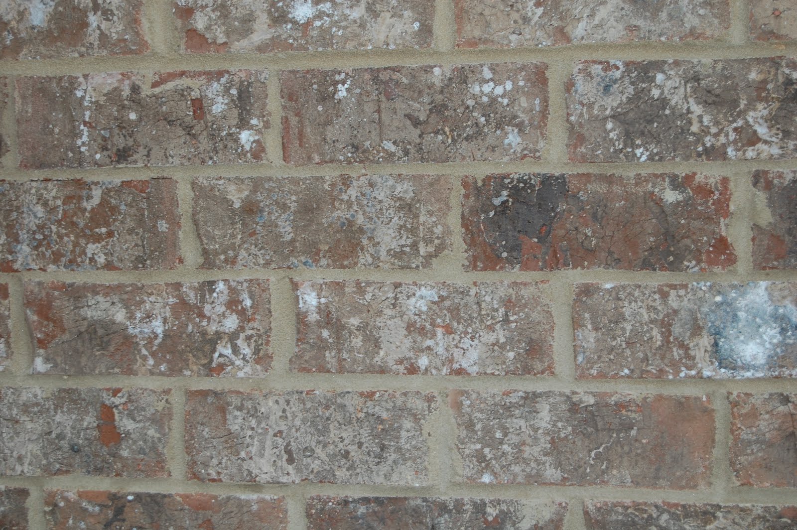 Home Building Project: Finalized Exterior Selections