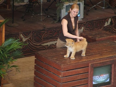 In Love of Animals, animal information, animal blog, animal blogs ...