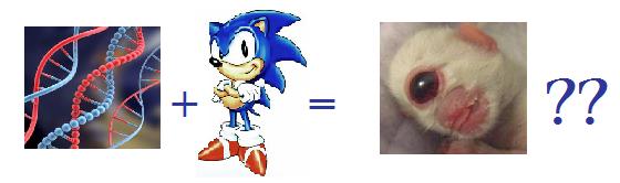 Written on Doorframes