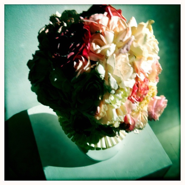 The Fashion Scout: Say it with Flowers: SHOWstudio Review