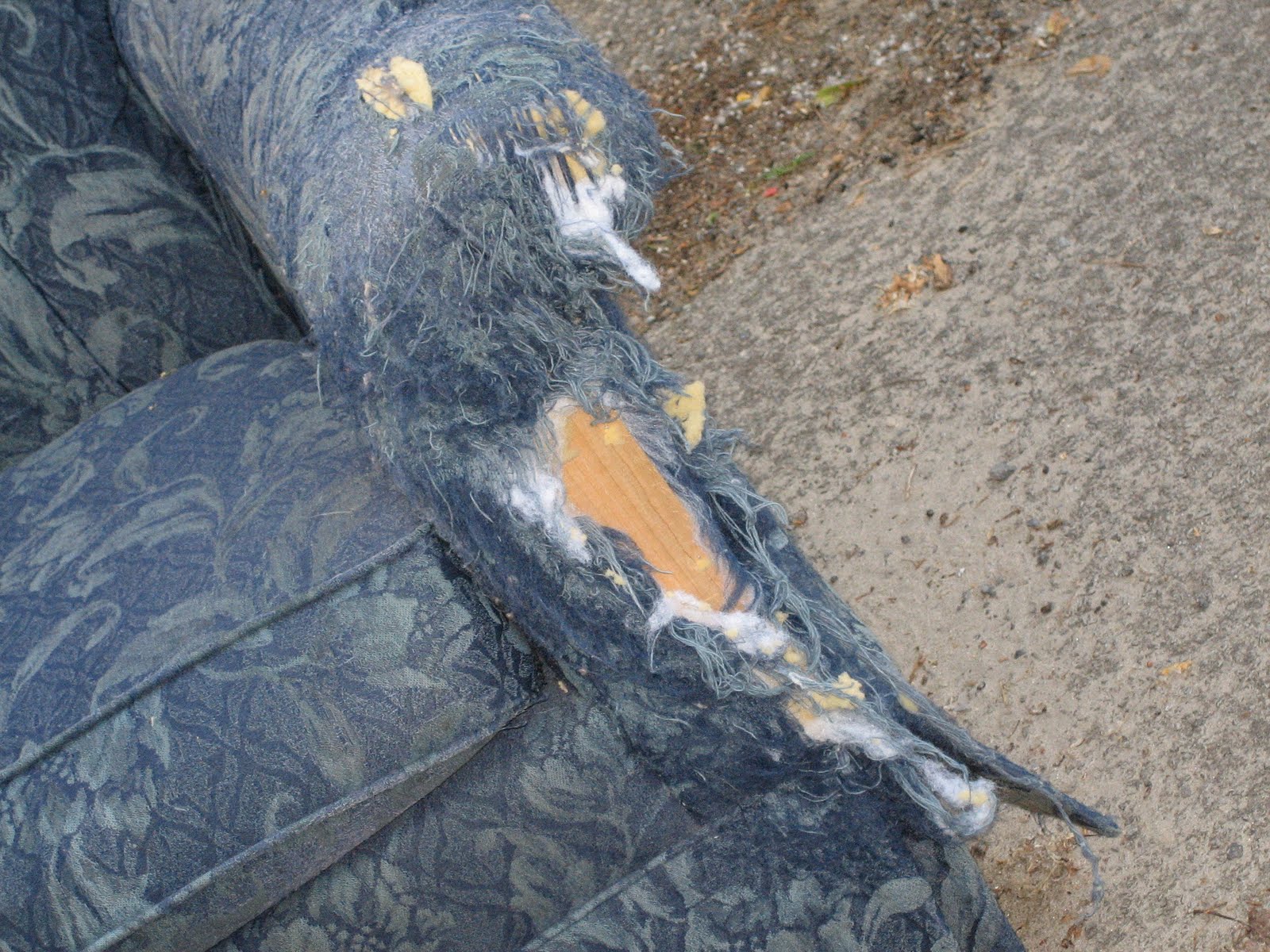 Vonlipi's Favorites: June 2010