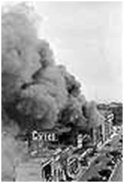 Mis Ideas Recurrentes (por el Profesor José L. Godoy): El "Limazo ...