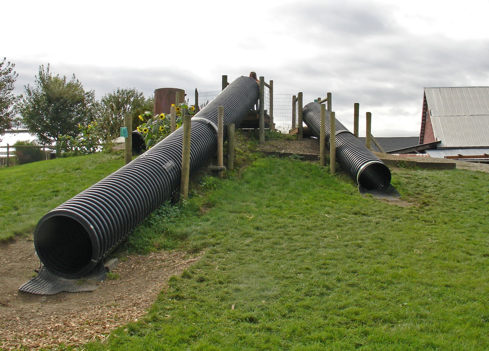 Magnolia Preparatory Academy: Fun on the Farms