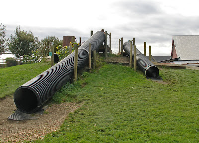 Magnolia Preparatory Academy: Fun on the Farms