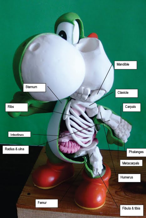 Magnolia Preparatory Academy: Show Time