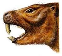 El Pensieve de Dinorider: Trachytherus, pezuñita cavadora del Perú perdido