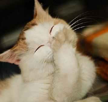 WHAT (MY MOTHER!!) IS IT??: ¿Qué diferencia hay entre "je je" y "ja ja"?