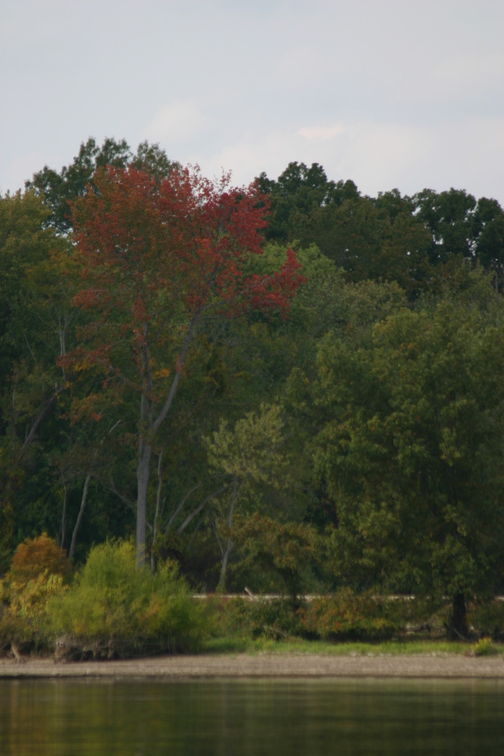 The Querrey's QUEST: 10/12/2010 PEBBLE ISL MARINA TO DOUBLE ISLAND ...