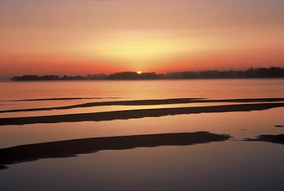 Flyfishing Russia: Yellowcheek (Elopichthys bambusa, Cyprinidae)