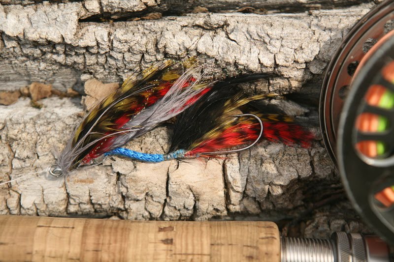 Flyfishing Russia: Good size Siberian taimen with a fly, Tugur River ...