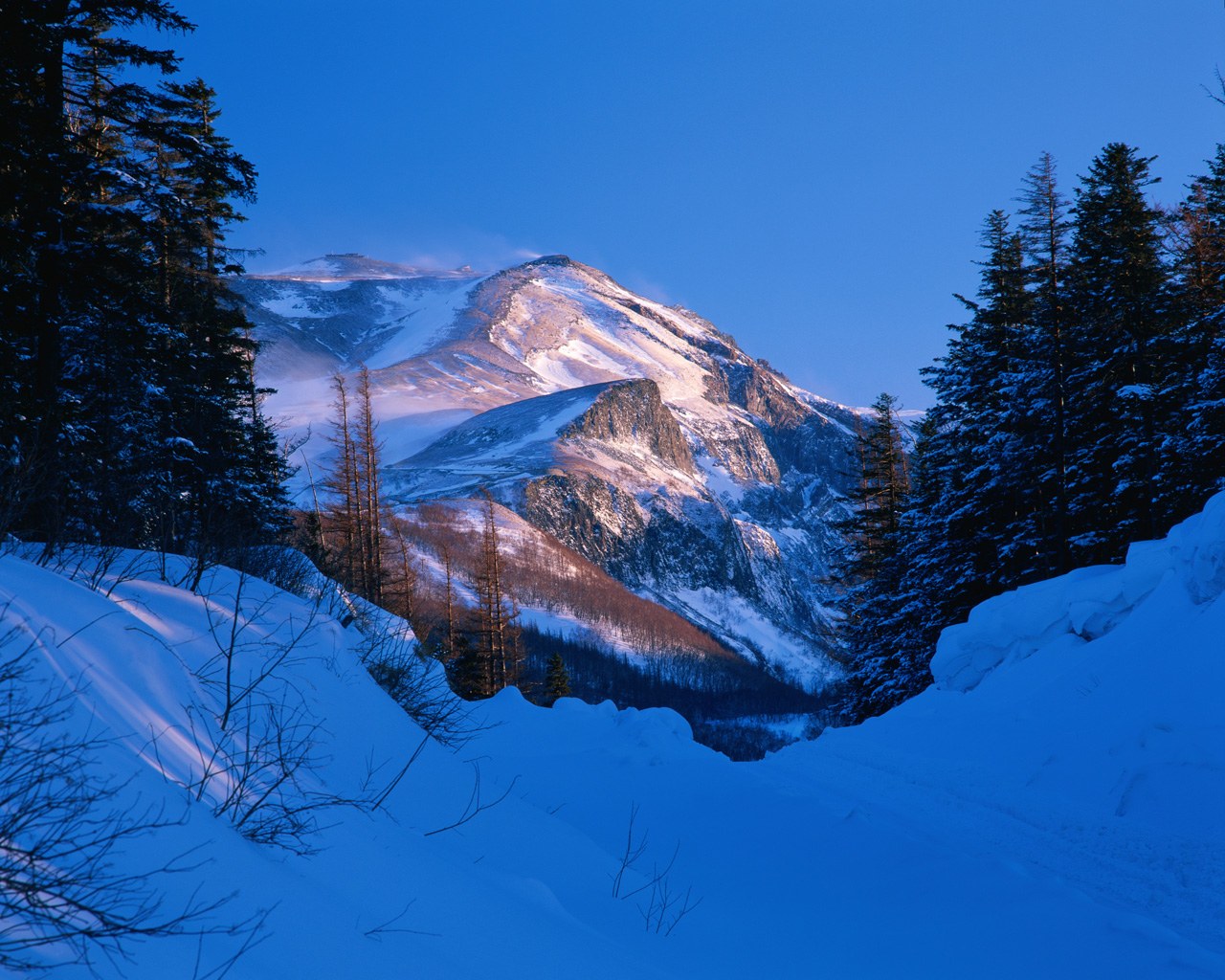 Poze Iarna la Munte: Poze cu Iarna Imagini Poze Iarna la Munte