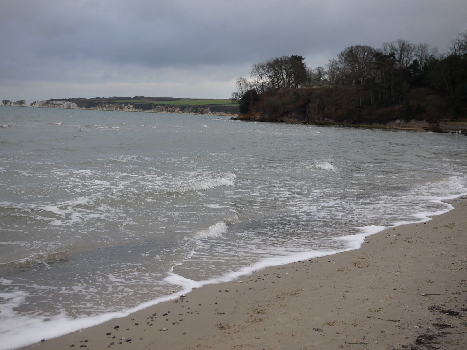 Walking in the country: Studland Bay to New Swanage (SW Coast Path 2)