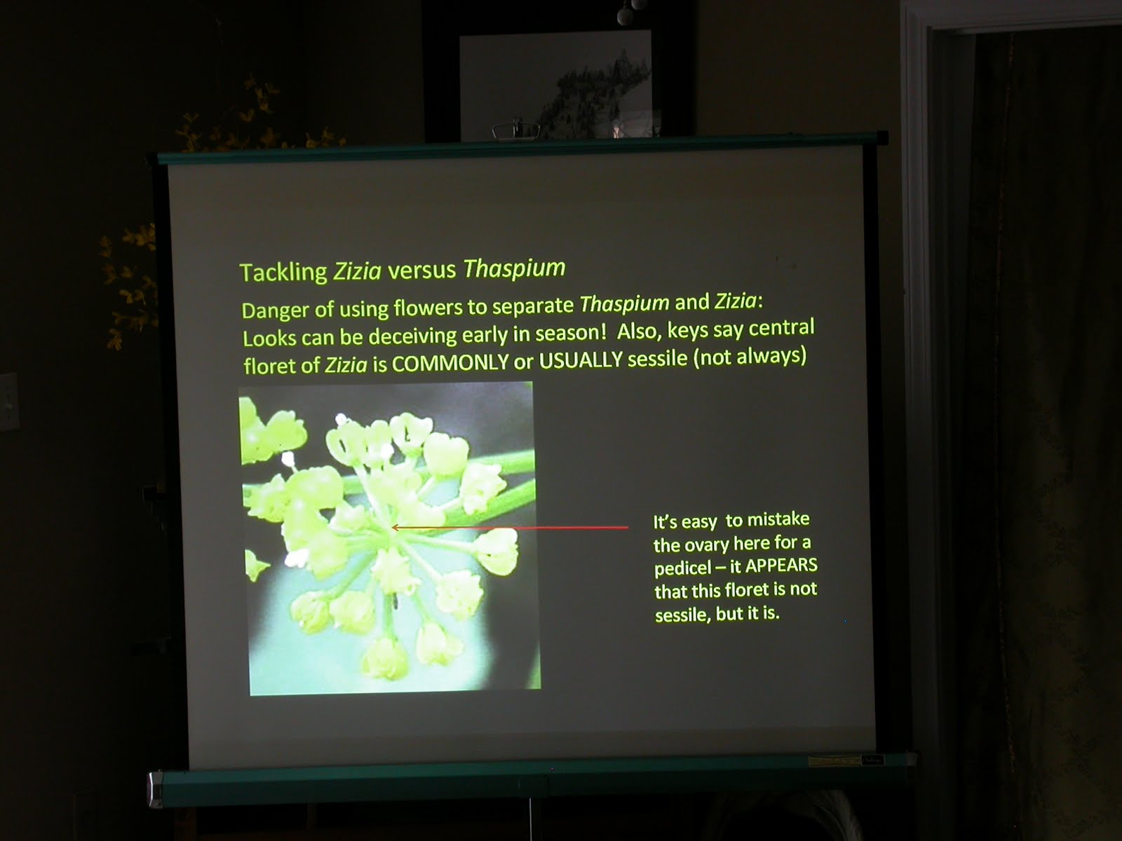 Get Your Botany On!: Botany Slideshow Extravaganza - A Recap