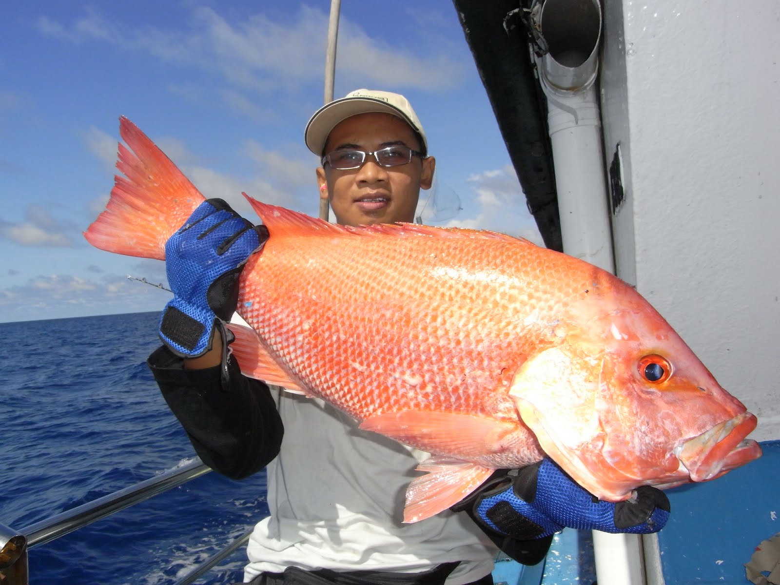 MALAYSIAN FISH HUNTER: Gallery I - 2010-11