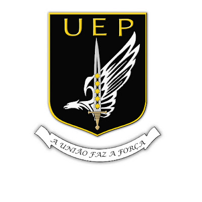 Defesa Nacional: Vários Comandos da PSP reforçados com forças especiais