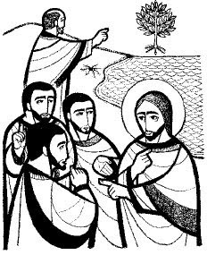 PARREMEDIOS BIBLIA: LA MISIÓN DE LOS DOCE