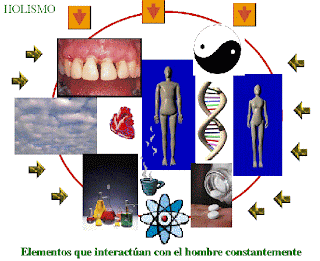 LEY DEL HOLISMO