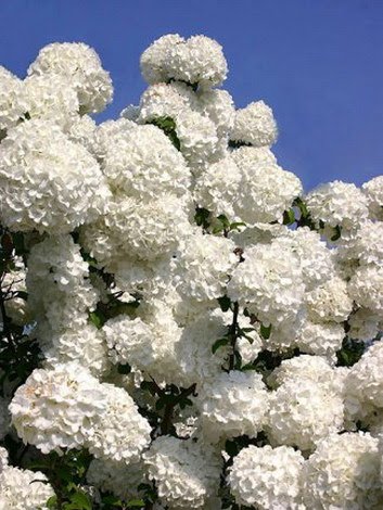 A Note of Friendship: May Day!