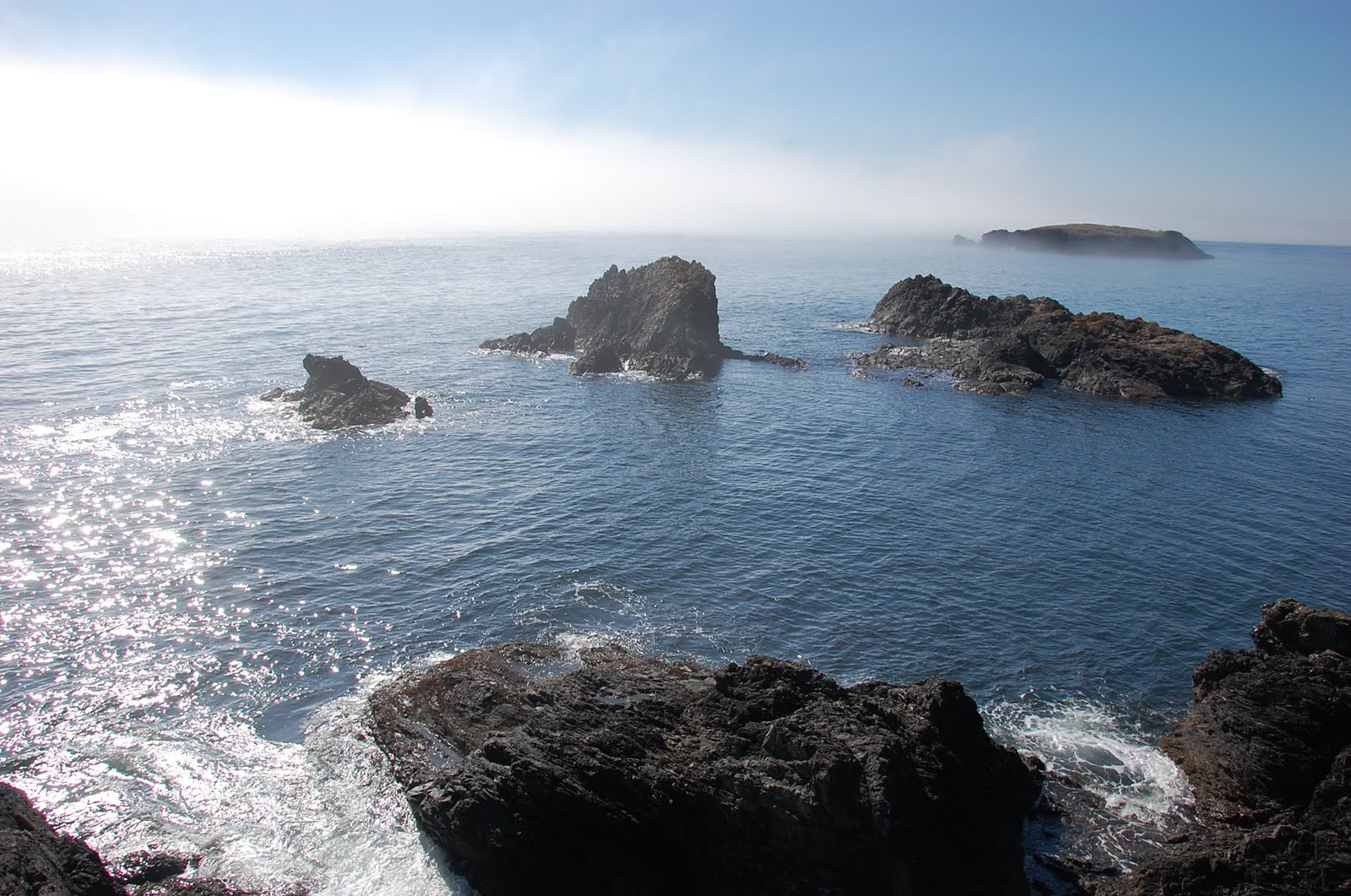 Travels with L (and sometimes Z & F): Fidalgo Island, Washington