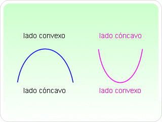 Anatomia Humana: Planimetria