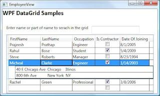 Born to Automate : Working with WPF DataGrid - Part 7
