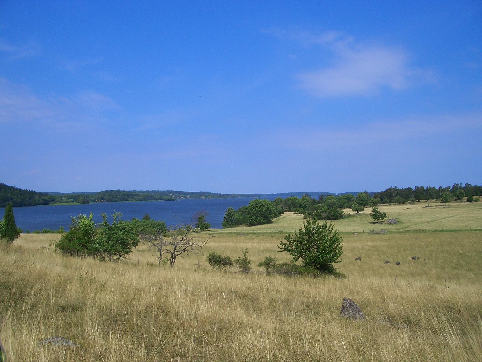 Pointless Anecdotes: Birka