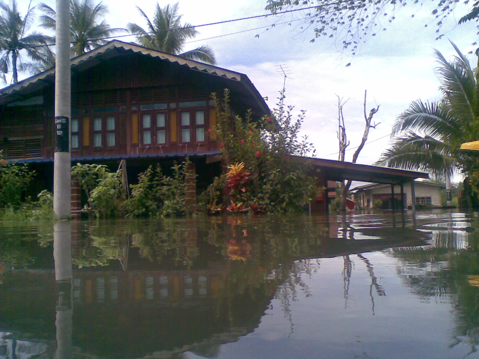 Aku Ke Ini | Blog Pandangan Diri: GAMBAR MENARIK BANJIR DI PERLIS