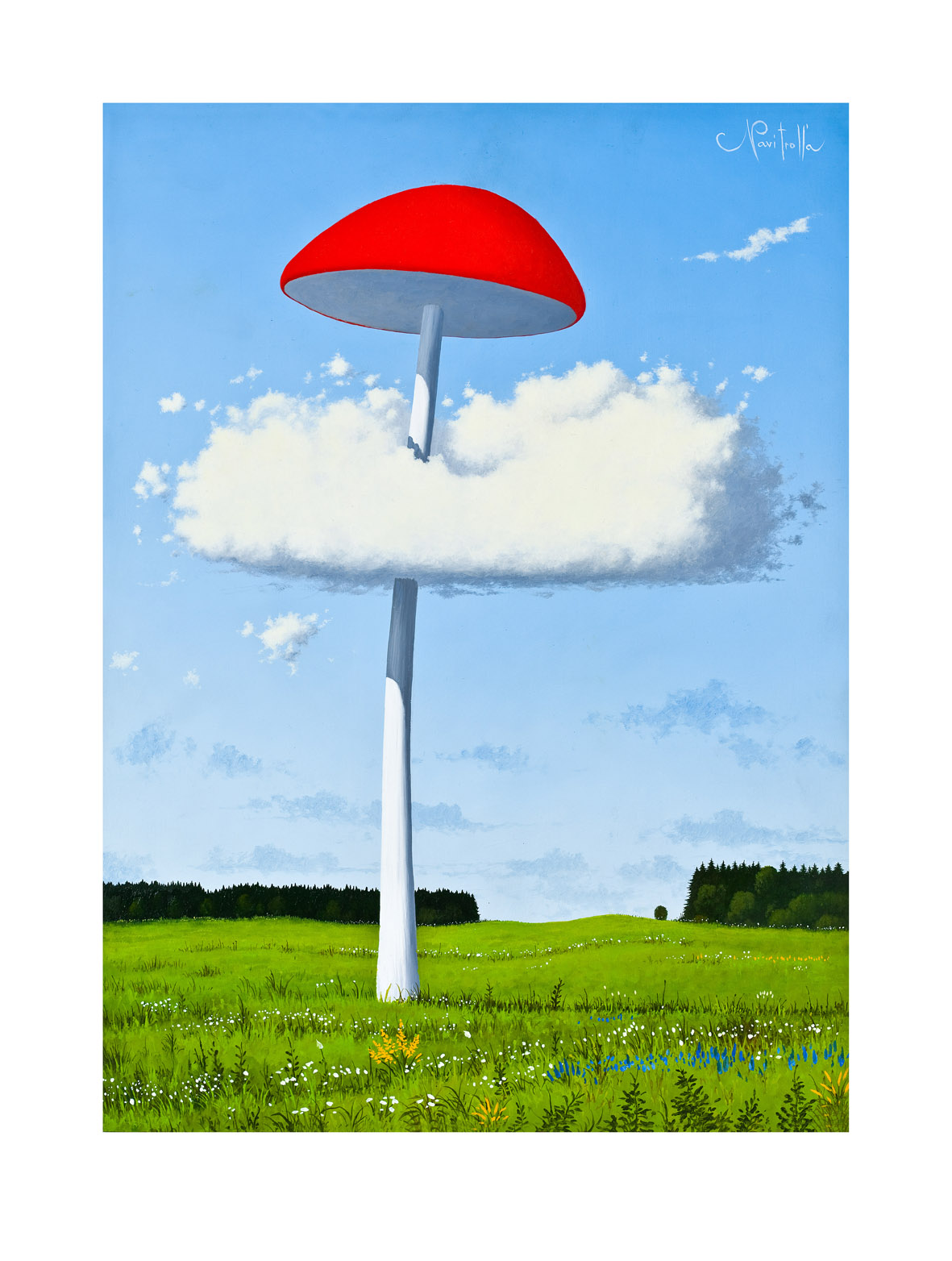 novamelina: Navitrolla