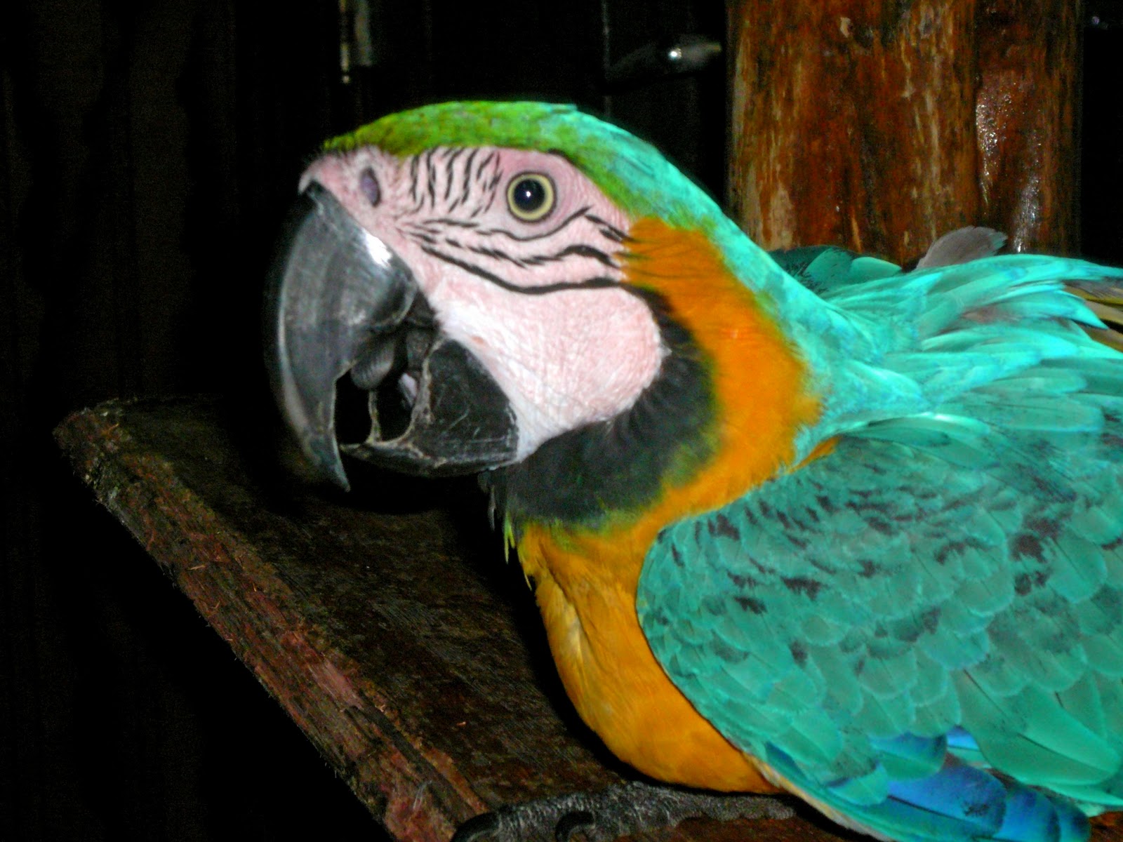 VIAGENS, IMAGENS E PENSAMENTOS ( Helena Afonso): O SOL E A MAJESTOSA ...