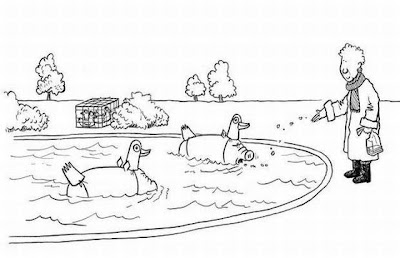 Selfish Pigs by Andy Riley - My Cartoon