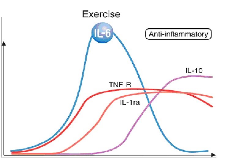 Inflammablog 2: Exercise: Anti-inflammatory